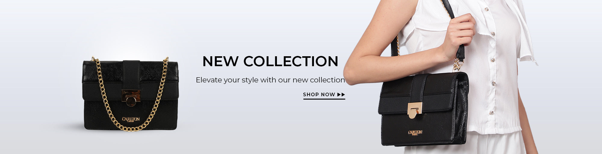 Women Hand bags – Carlton London Online