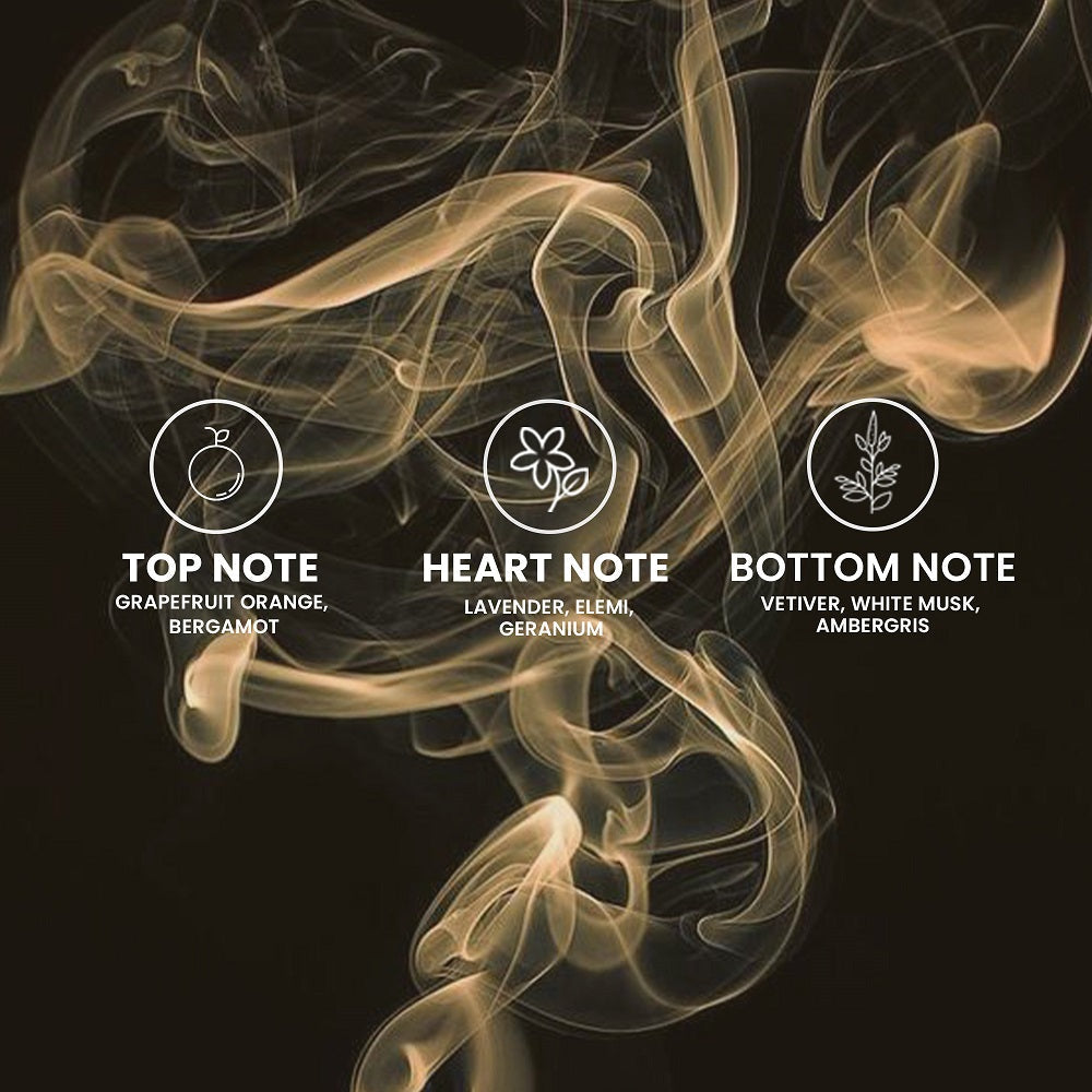 Men Perfume 609 100Ml – Carlton London Online